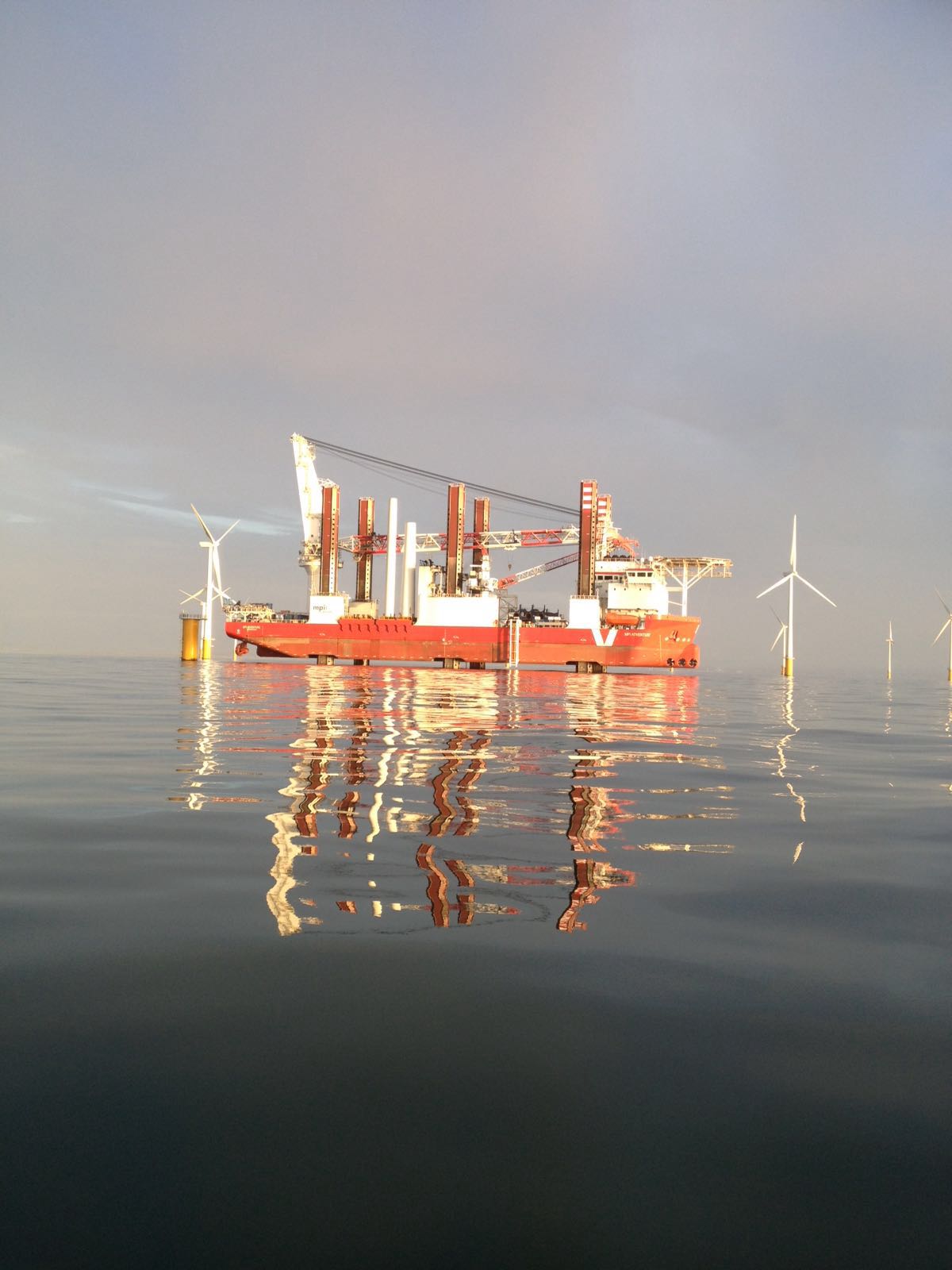 What’s been happening at Robin Rigg? An update | Solway Shore-walker