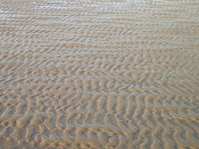 Some things I didn’t know about sand-ripples and the sea | Solway Shore ...