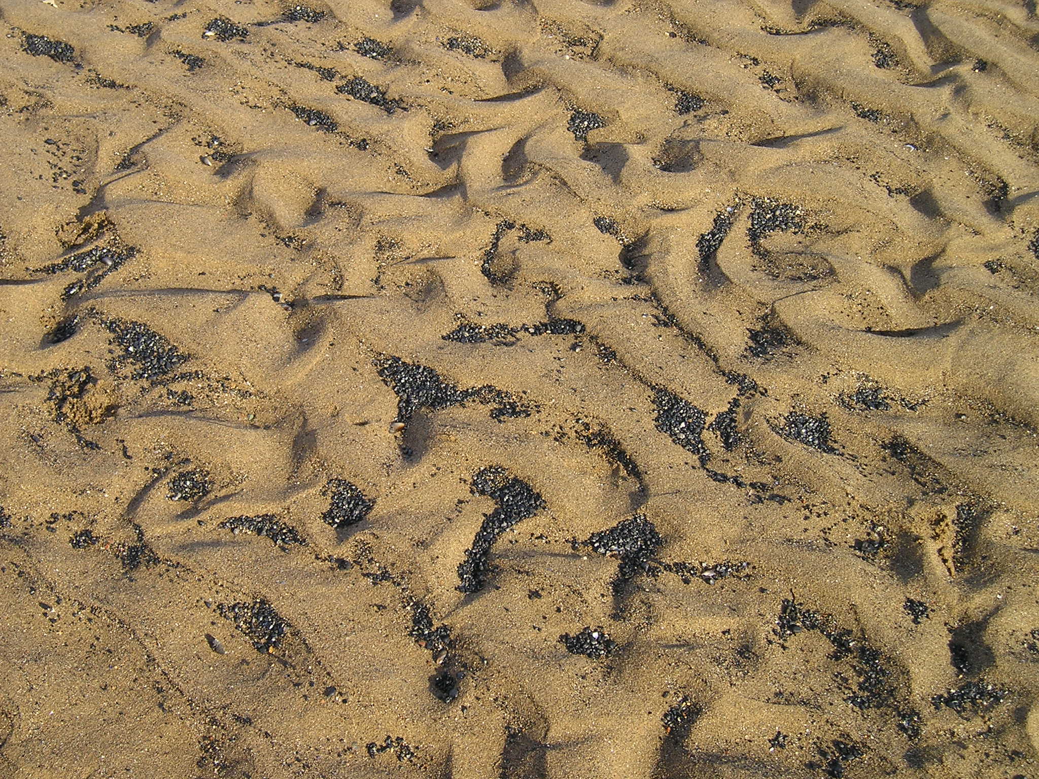 Some things I didn’t know about sand-ripples and the sea | Solway Shore ...