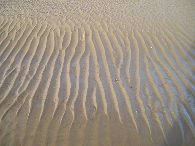 Some things I didn’t know about sand-ripples and the sea | Solway Shore ...