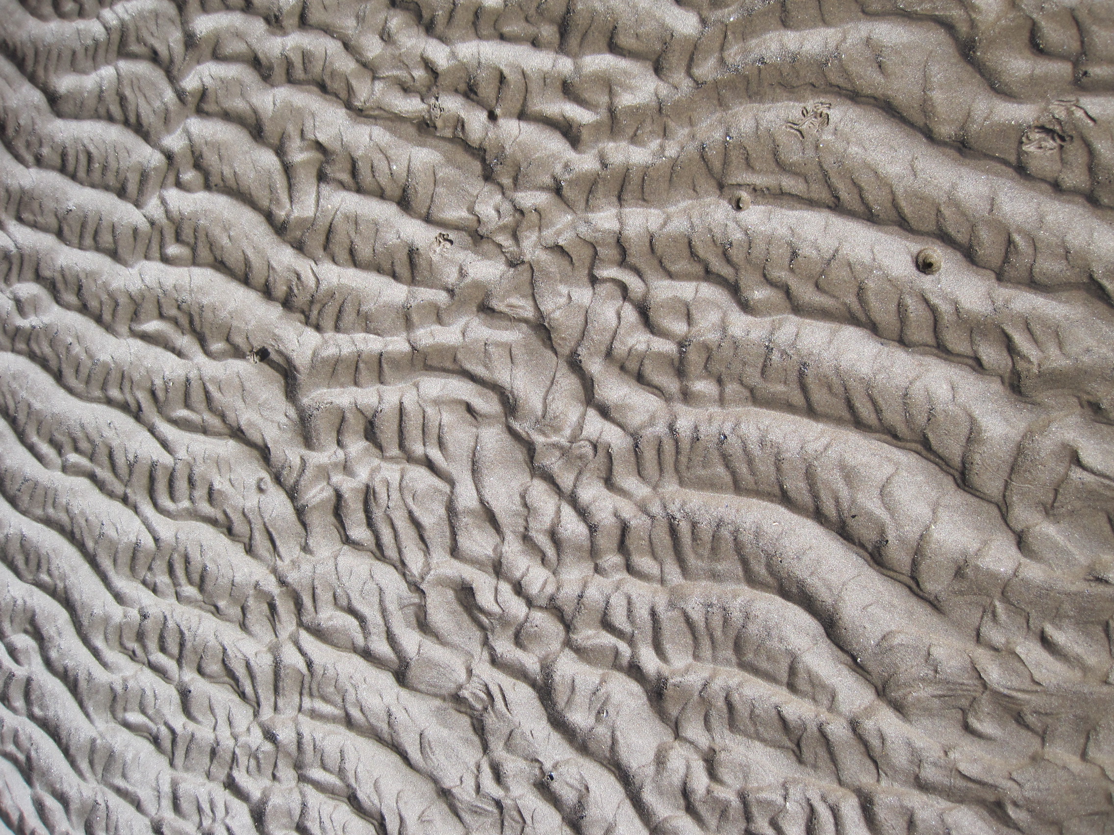 Some things I didn’t know about sand-ripples and the sea | Solway Shore ...