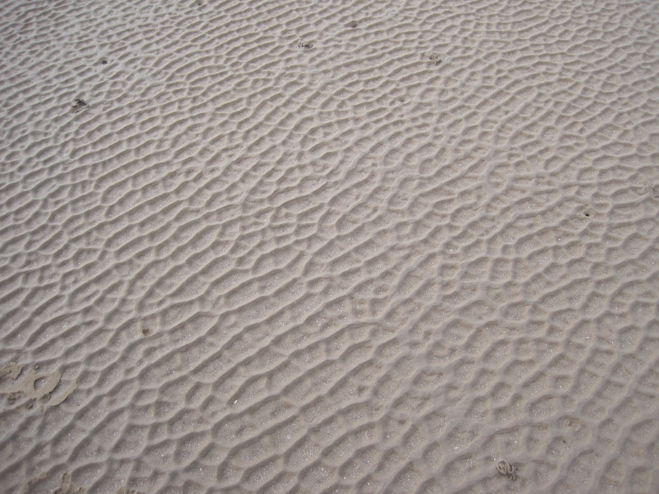 Some things I didn’t know about sand-ripples and the sea | Solway Shore ...