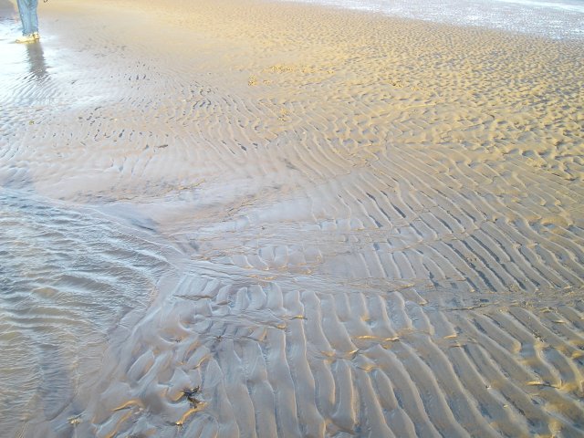 Some things I didn’t know about sand-ripples and the sea | Solway Shore ...