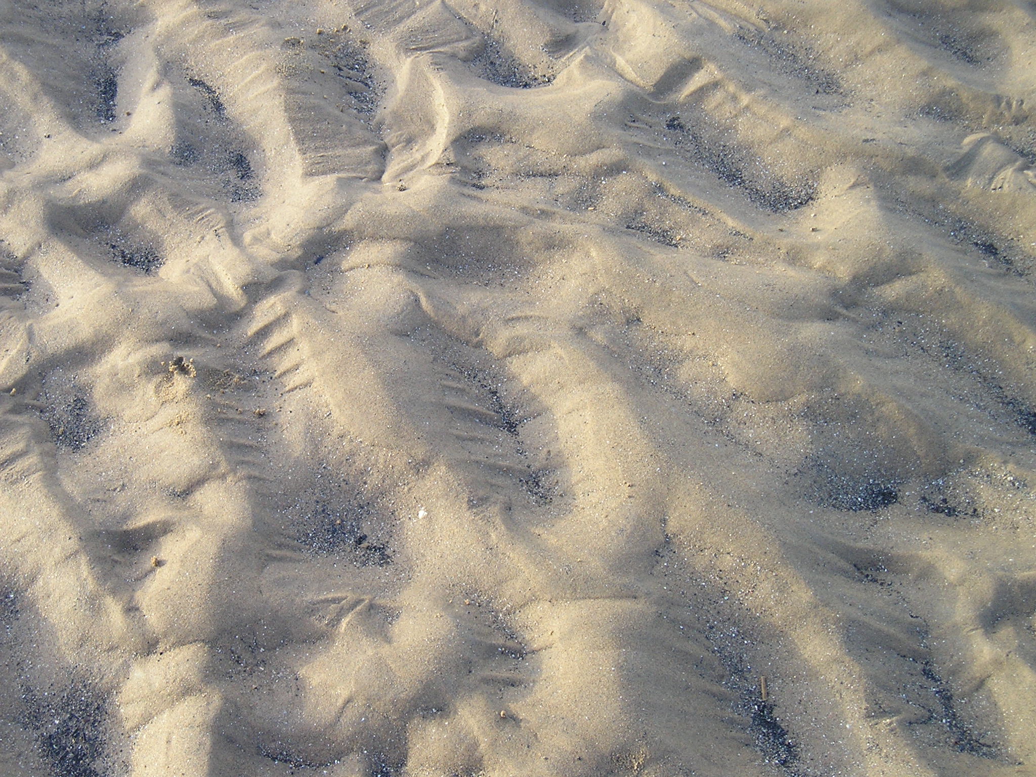 Some things I didn’t know about sand-ripples and the sea | Solway Shore ...