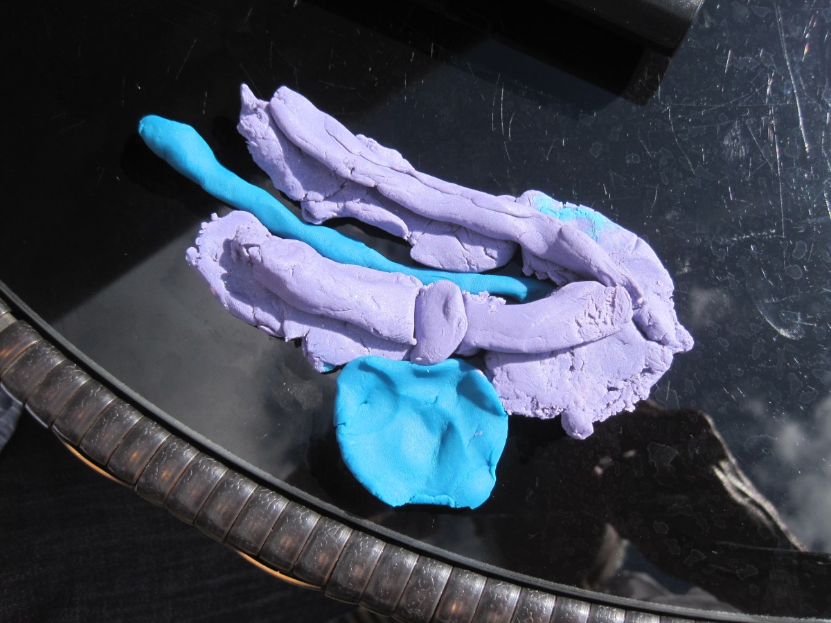 Grazing and Growth on Rockcliffe Marsh | Solway Shore-walker