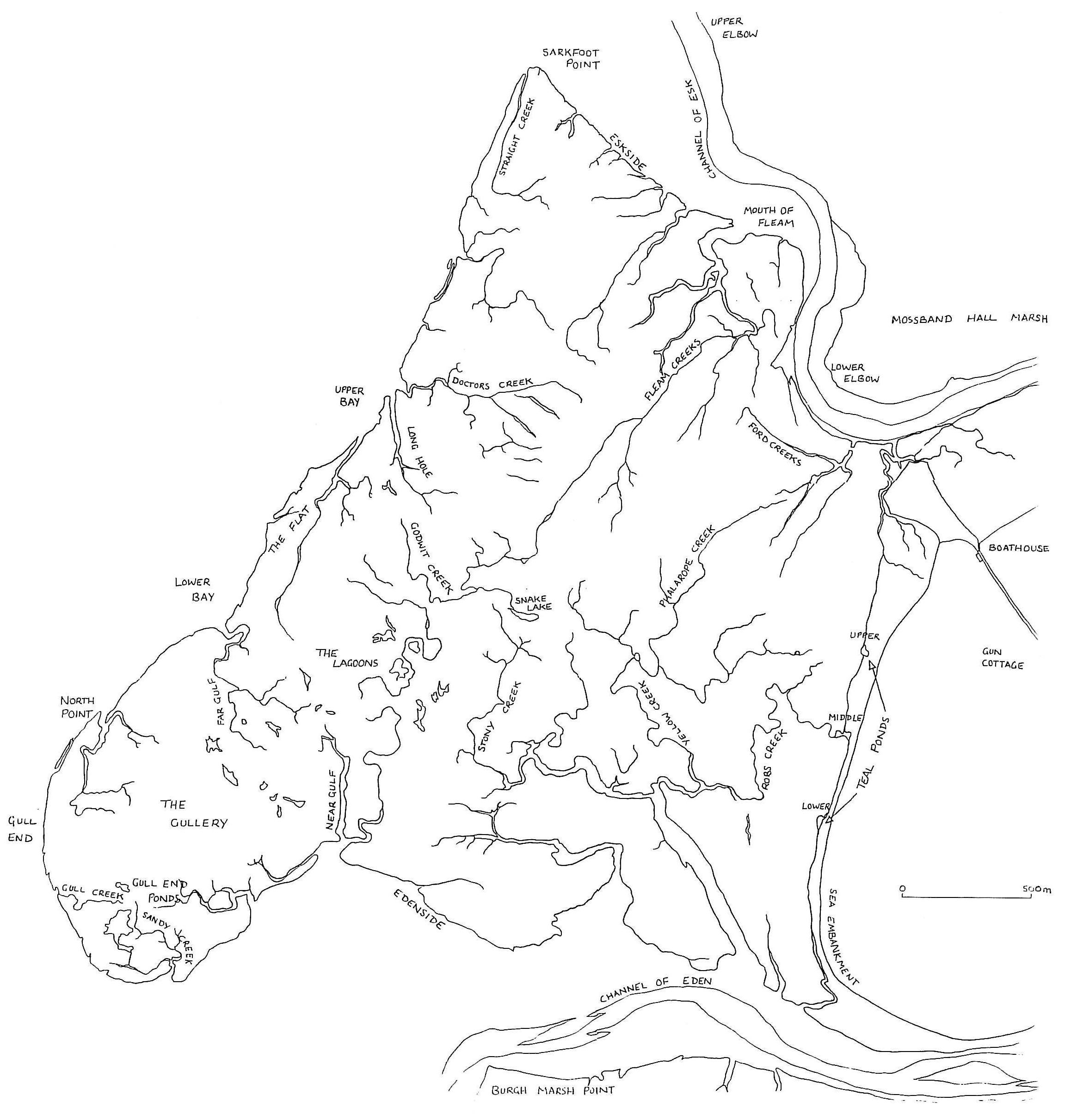Grazing and Growth on Rockcliffe Marsh | Solway Shore-walker