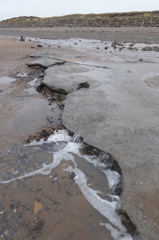 Plates of clay 2020 | Solway Shore-walker
