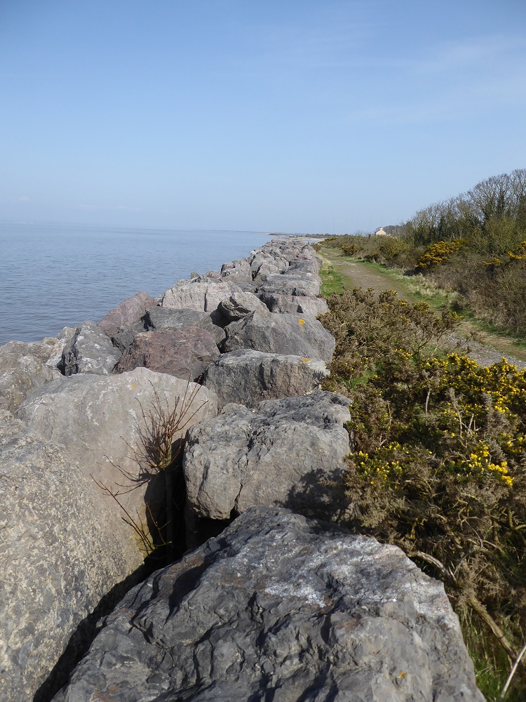Protecting the coast: limestone rock armour | Solway Shore-walker